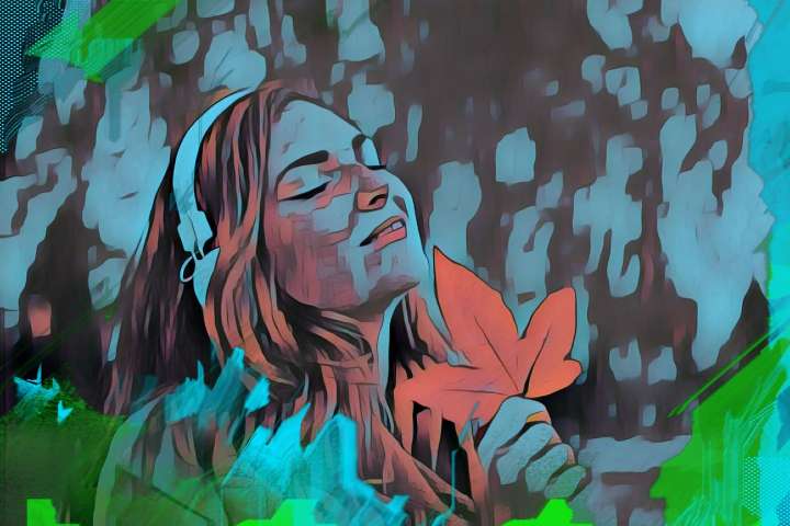 Melodic Motion: The Complete Beginner's Guide